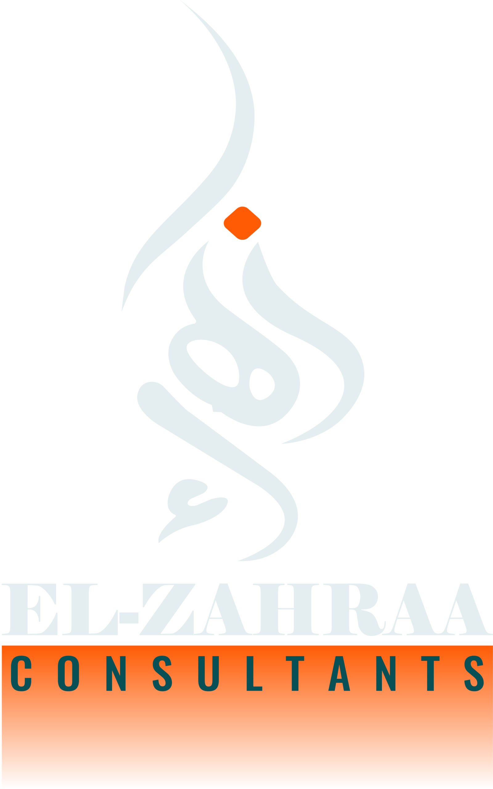 AL Zahraa Consultants – Unique isn't just a word